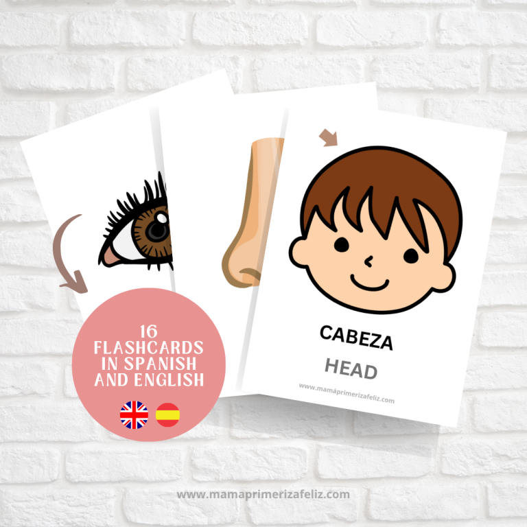 Spanish Body Parts Flashcards | Mama Primeriza Feliz