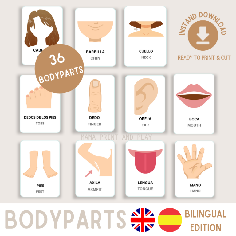 Partes del cuerpo Flashcards Bilingue Español / Inglés - Mama Primeriza ...