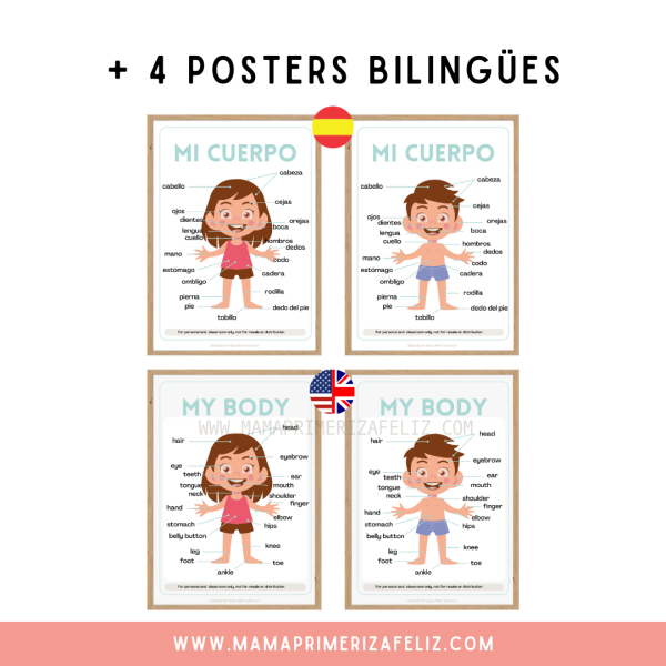 Partes del cuerpo Flashcards Bilingue Español / Inglés - Mama Primeriza ...