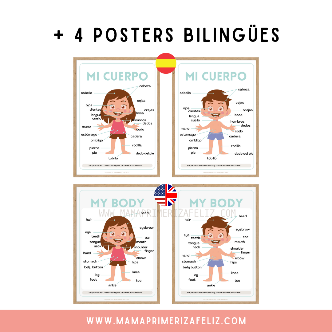 Partes del cuerpo Flashcards Bilingue Español / Inglés - Mama Primeriza ...