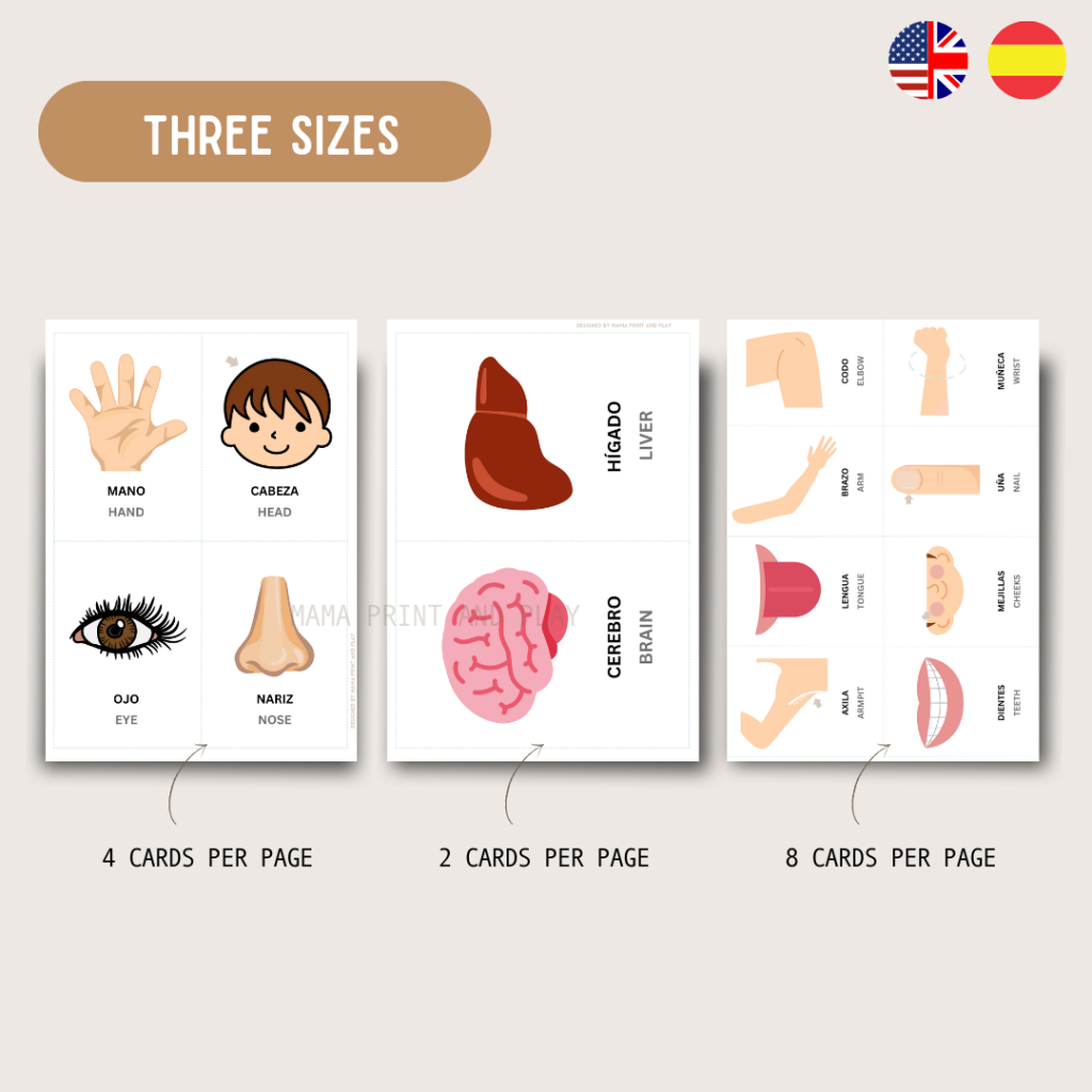 Partes del cuerpo Flashcards Bilingue Español / Inglés - Mama Primeriza ...