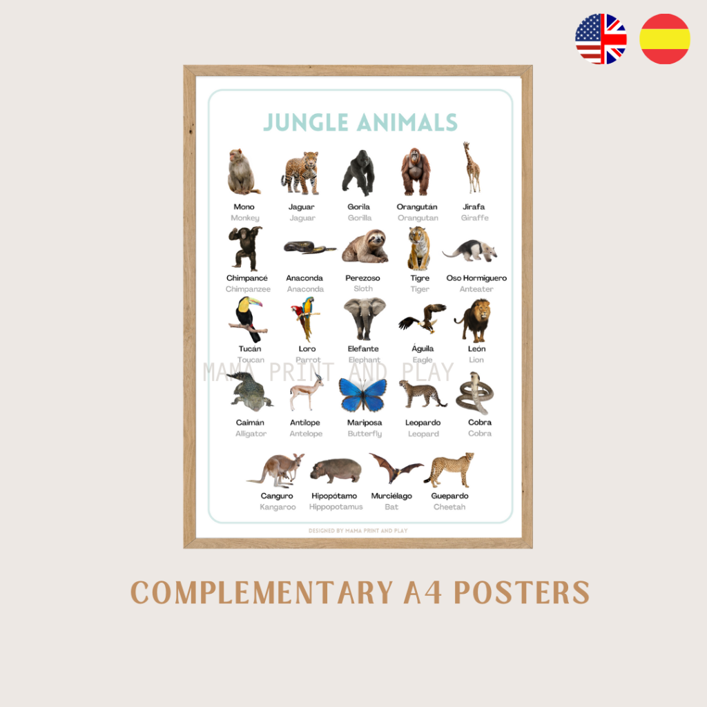 Jungle Animals Cards Bilingual - Mama Primeriza Feliz