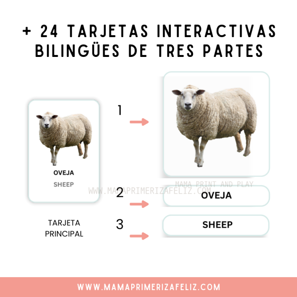 Animales de la granja Flashcards Bilingue Español / Inglés - Mama ...