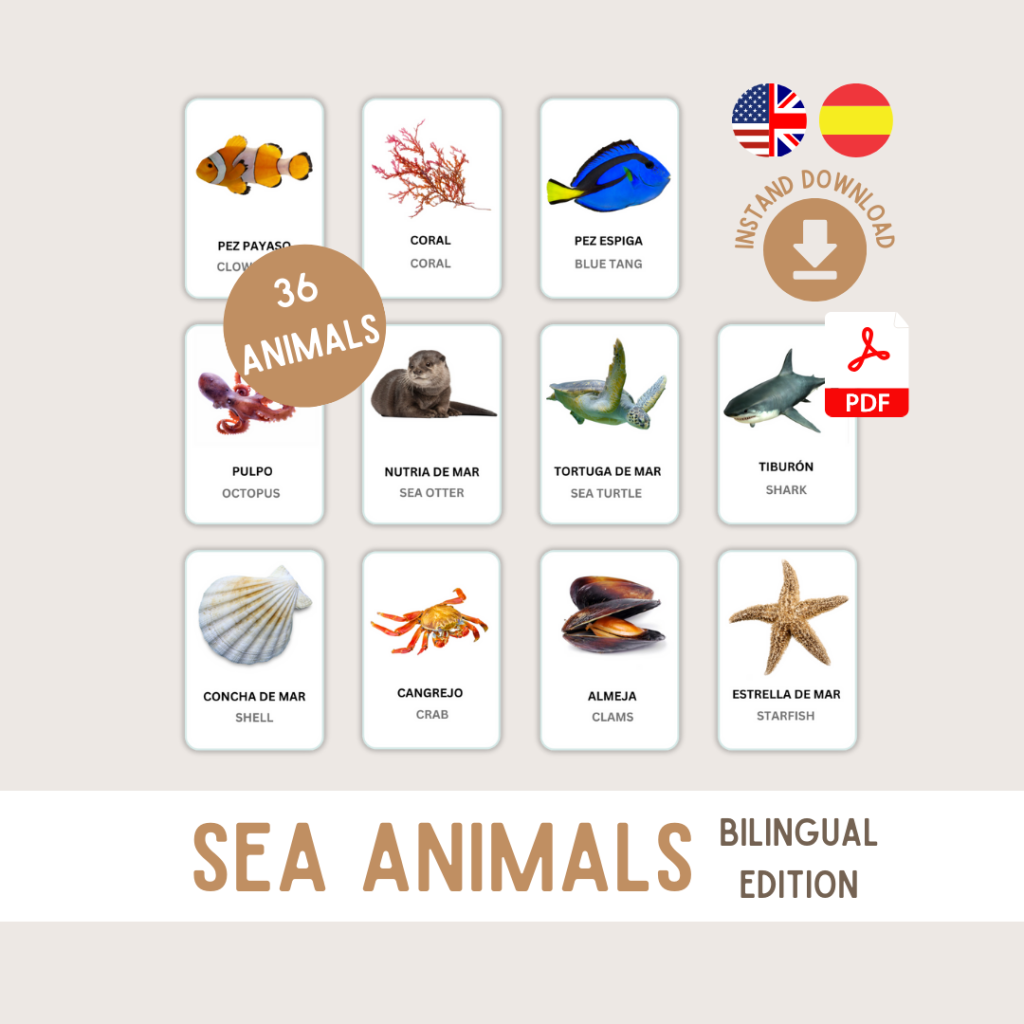 Sea animals flashcards bilingual edition: spanish and english - Mama ...