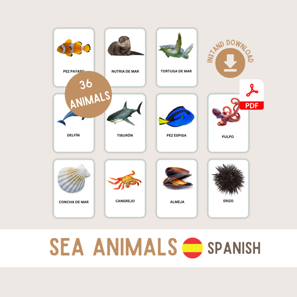 Sea animals flashcards SPANISH - Mama Primeriza Feliz