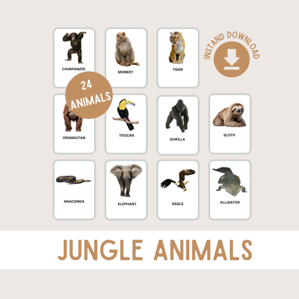 24 Animales de la selva en Inglés - Mama Primeriza Feliz