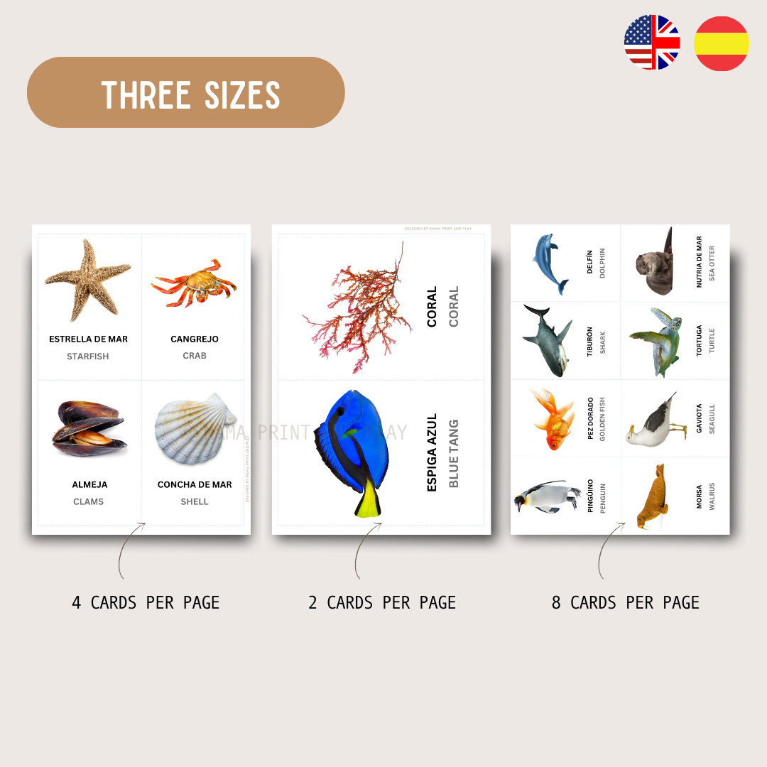 Animales del mar flashcarda bilingues: español e inglés - Mama ...