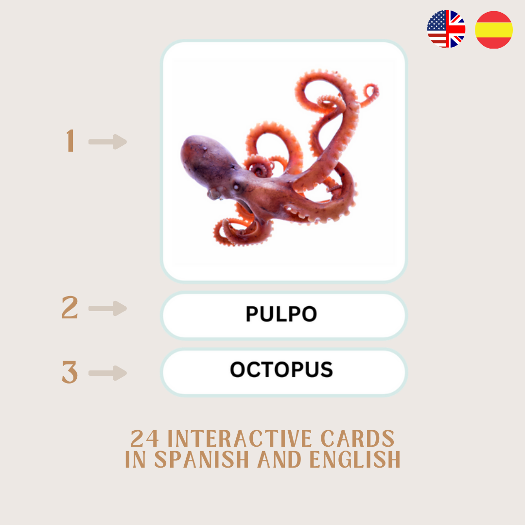 Animales del mar flashcarda bilingues: español e inglés - Mama ...