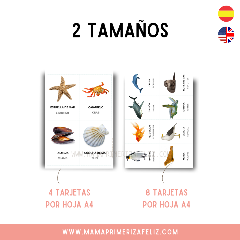 Sea animals flashcards bilingual edition: spanish and english - Mama ...