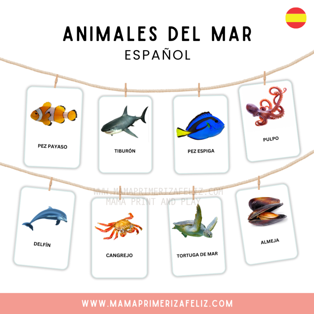 Sea animals flashcards SPANISH - Mama Primeriza Feliz