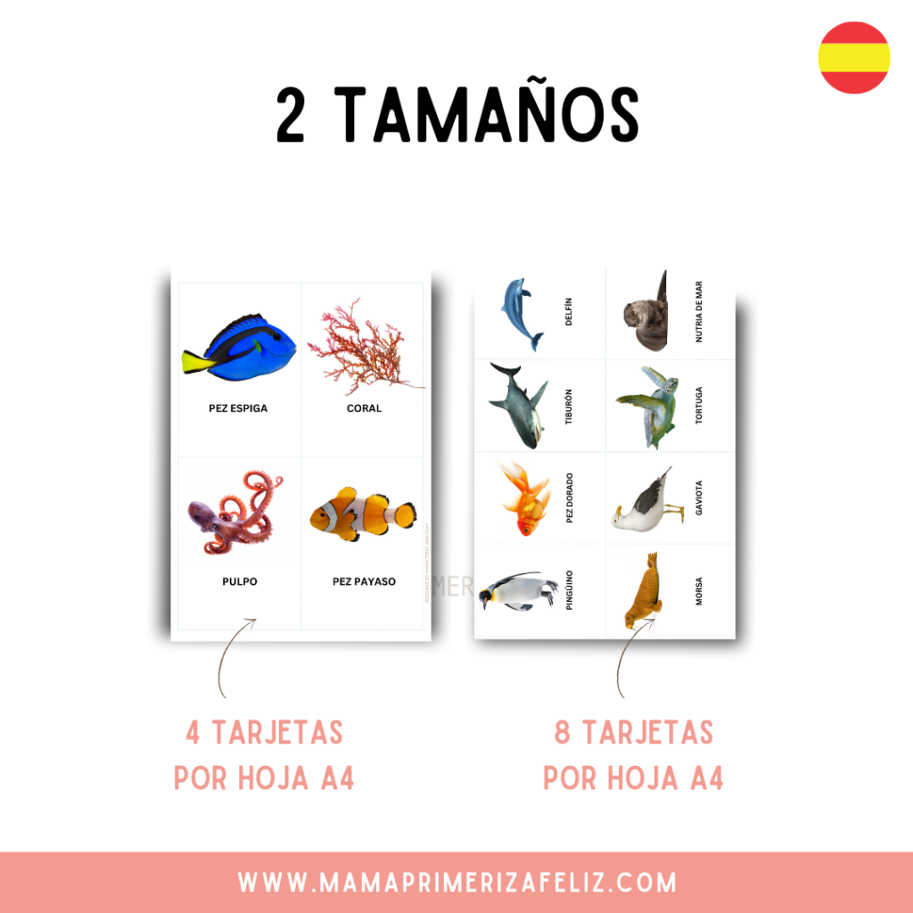 Sea animals flashcards SPANISH - Mama Primeriza Feliz