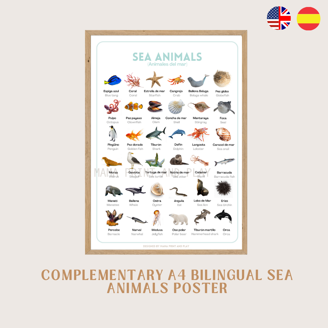 Animales del mar flashcarda bilingues: español e inglés - Mama ...