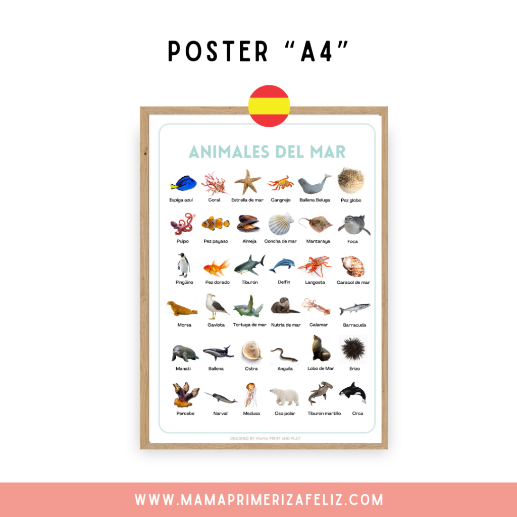 Sea animals flashcards SPANISH - Mama Primeriza Feliz