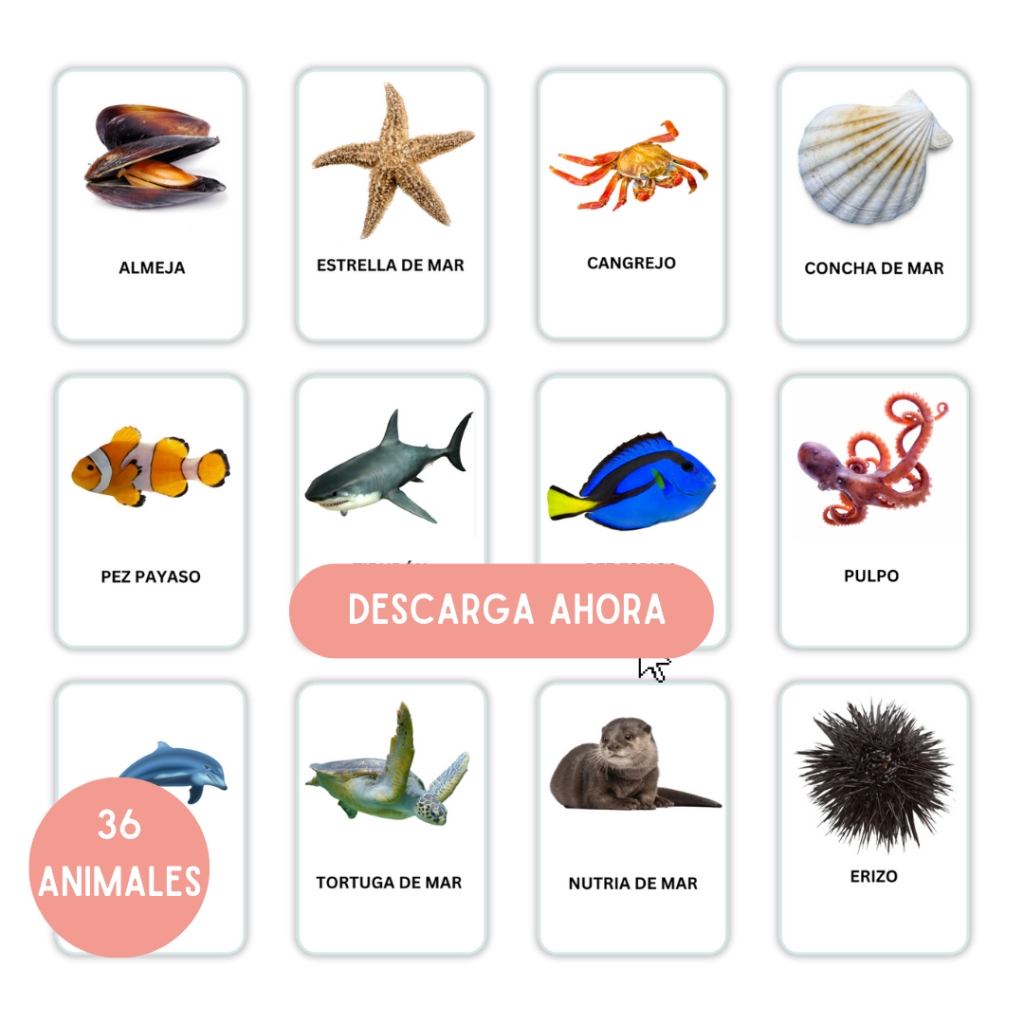 Sea animals flashcards SPANISH - Mama Primeriza Feliz