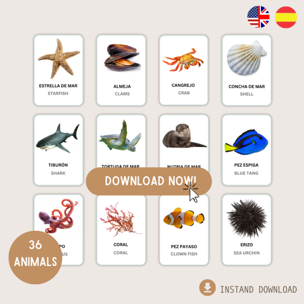 Animales del mar flashcarda bilingues: español e inglés - Mama ...