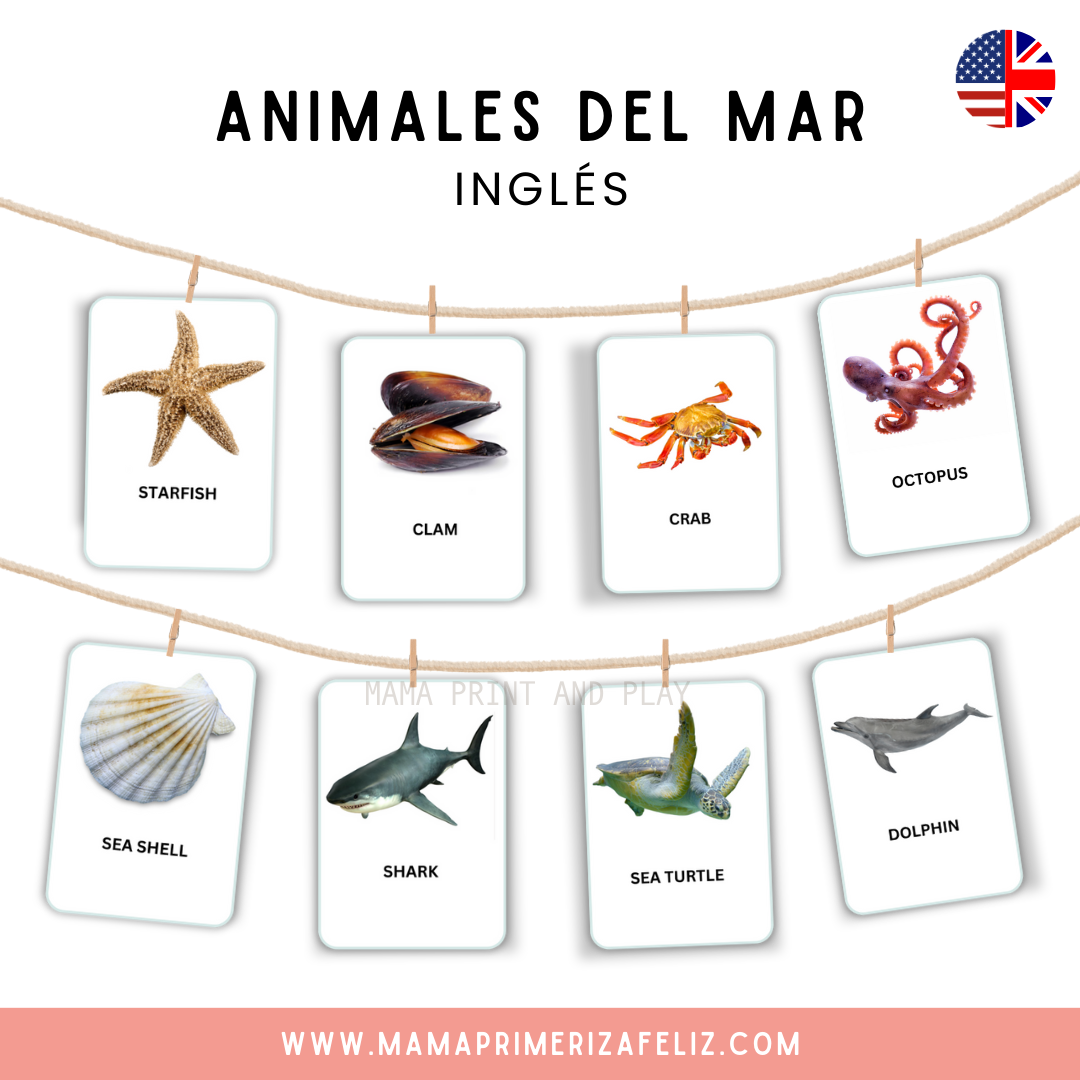 Animales del mar flaschards en inglés - Mama Primeriza Feliz