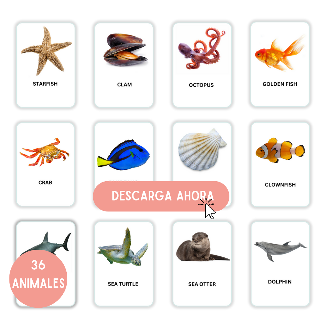 Animales del mar flaschards en inglés - Mama Primeriza Feliz