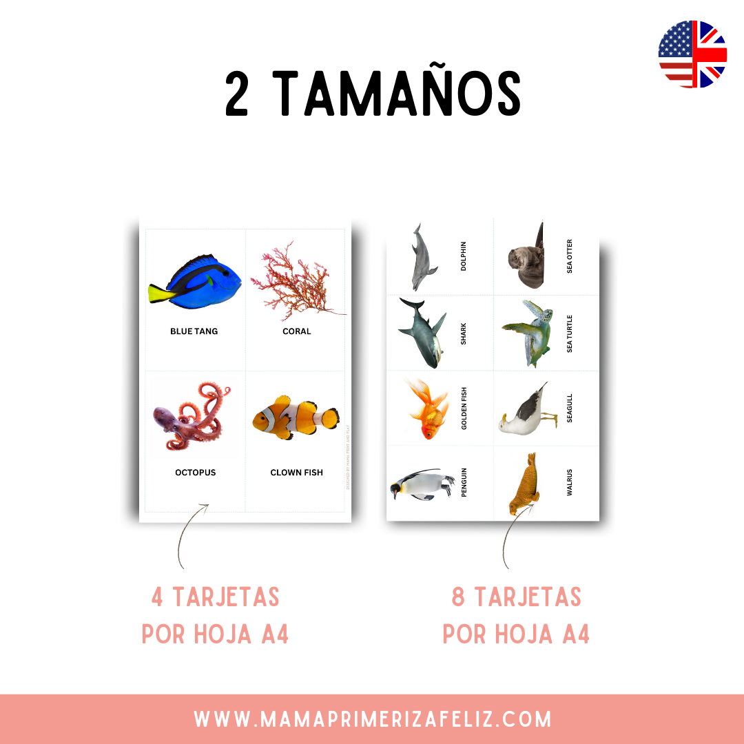 Animales del mar flaschards en inglés - Mama Primeriza Feliz