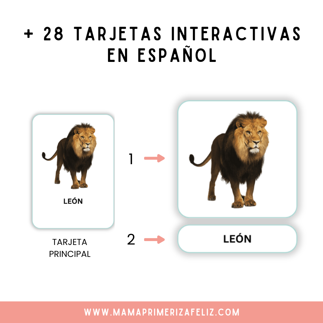 Animales de la jungla flashcards en español - Mama Primeriza Feliz