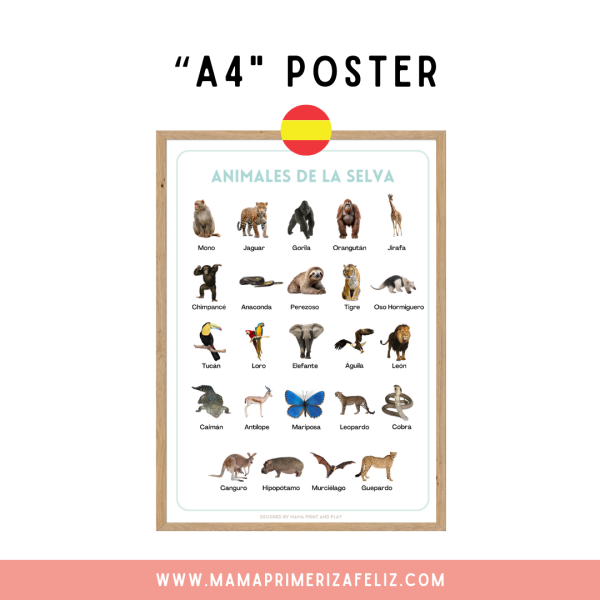 Animales de la jungla flashcards en español - Mama Primeriza Feliz
