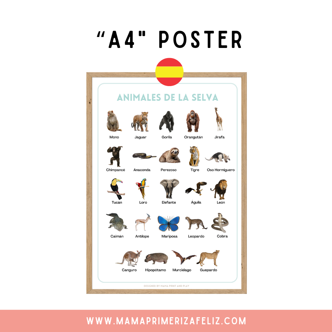 Animales de la jungla flashcards en español - Mama Primeriza Feliz